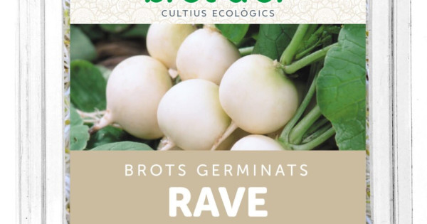 Linverd Market | Sprouted sprouts Rave Daikon 70gr Brots d'Or ECO