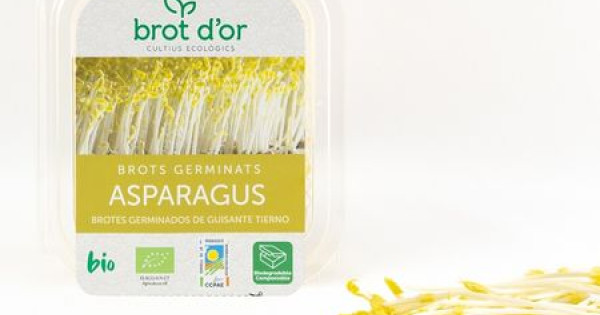 Linverd Market | Sprouted sprouts of sparrec 50gr Gold sprout ECO